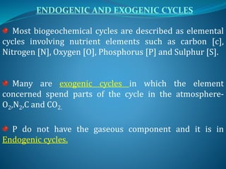 Biogeochemical Cycle | PPT