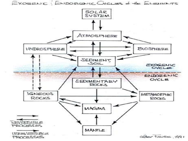 Biogeochemical Cycle | PPT