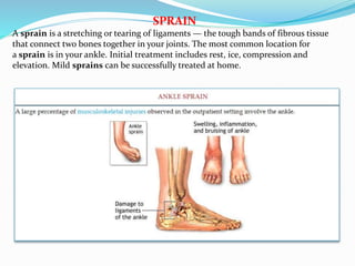 Anil dahiya Class XII chapter -7 Physiology & injuries in sports | PPTX ...