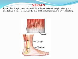 Anil dahiya Class XII chapter -7 Physiology & injuries in sports | PPTX ...