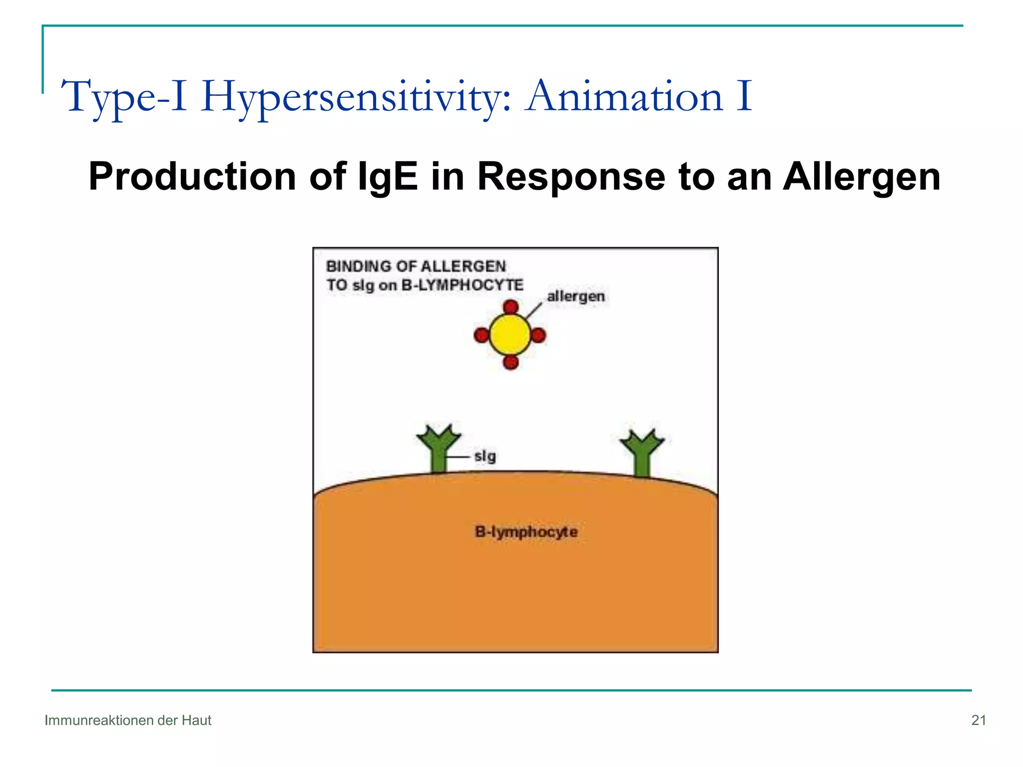 Hypersensitivity reactions for Medical Students | PPT