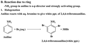 Aniline123 most important notes for exams.pdf