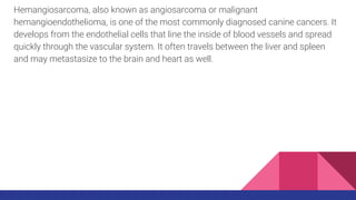 Canine Cancer - Hemangiosarcomas of the Spleen and Liver | PPTX