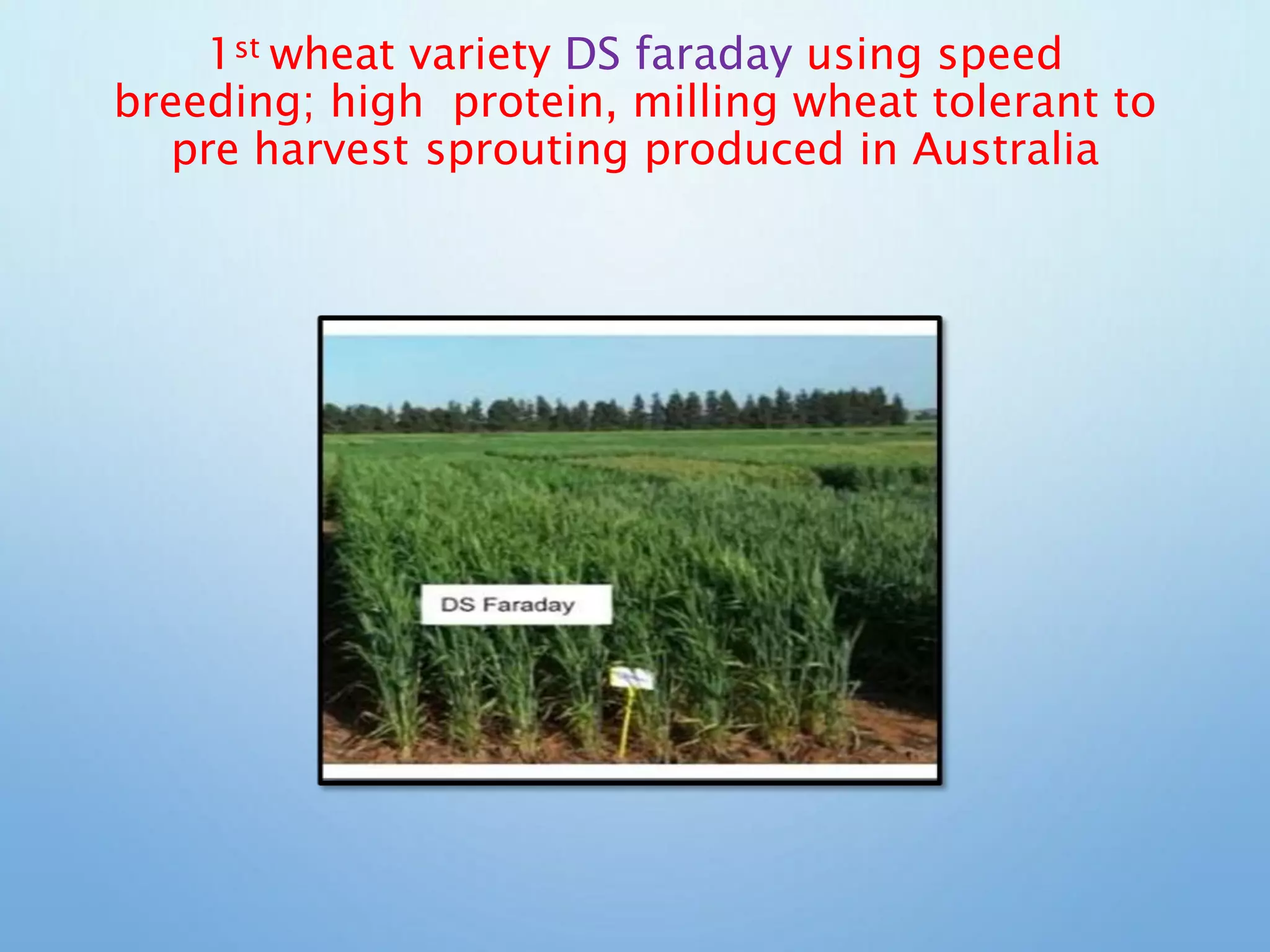 Speed Breeding and its implications in crop improvement | PPTX