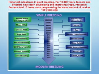 Speed Breeding and its implications in crop improvement | PPTX