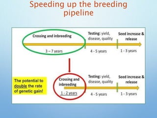 Speed Breeding and its implications in crop improvement | PPTX