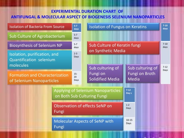 Anil kumar ppt'antifungal & molecular aspects of selenium np | PPTX