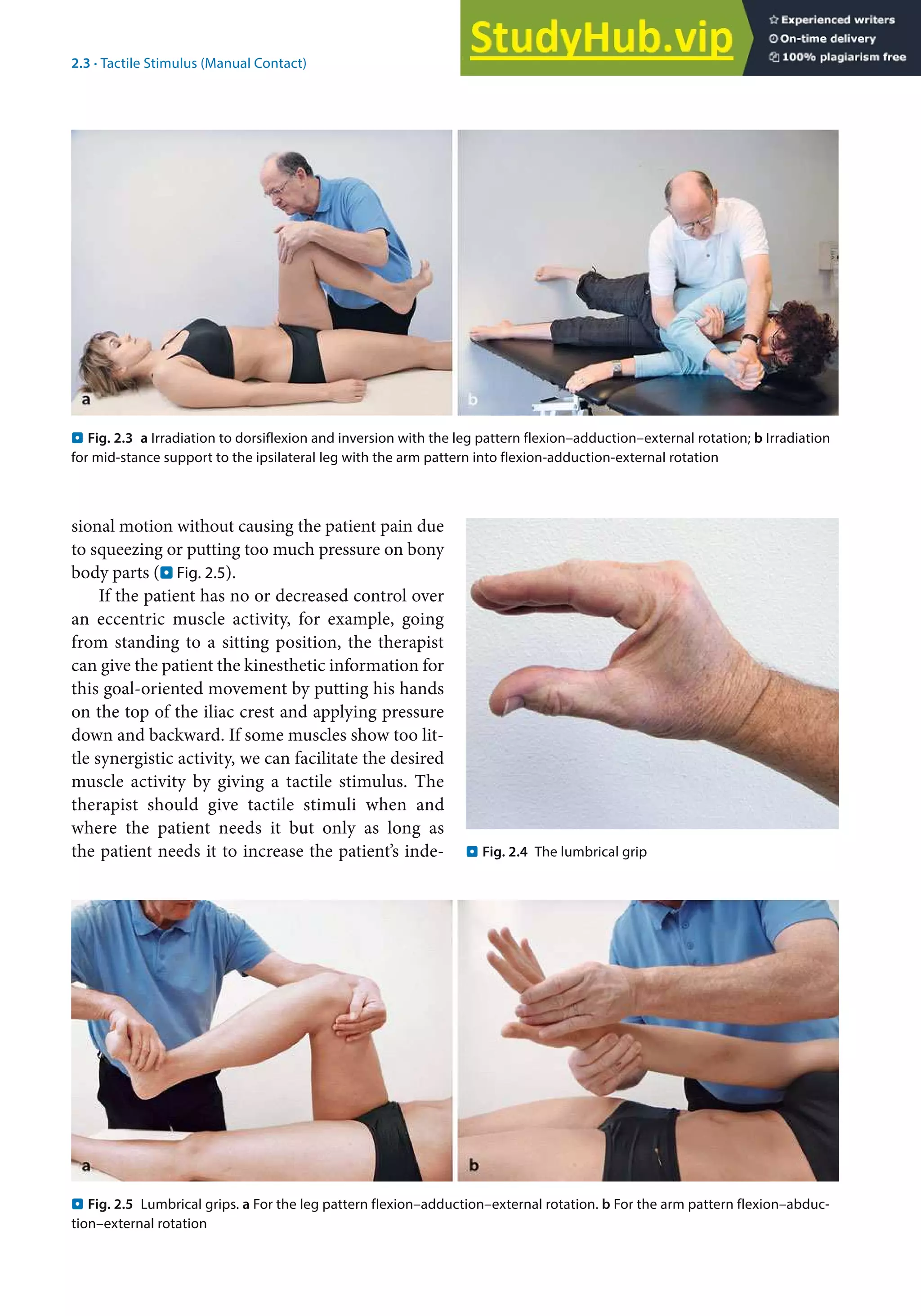 An Illustrated Guide PNF In Practice Fourth Edition | PDF