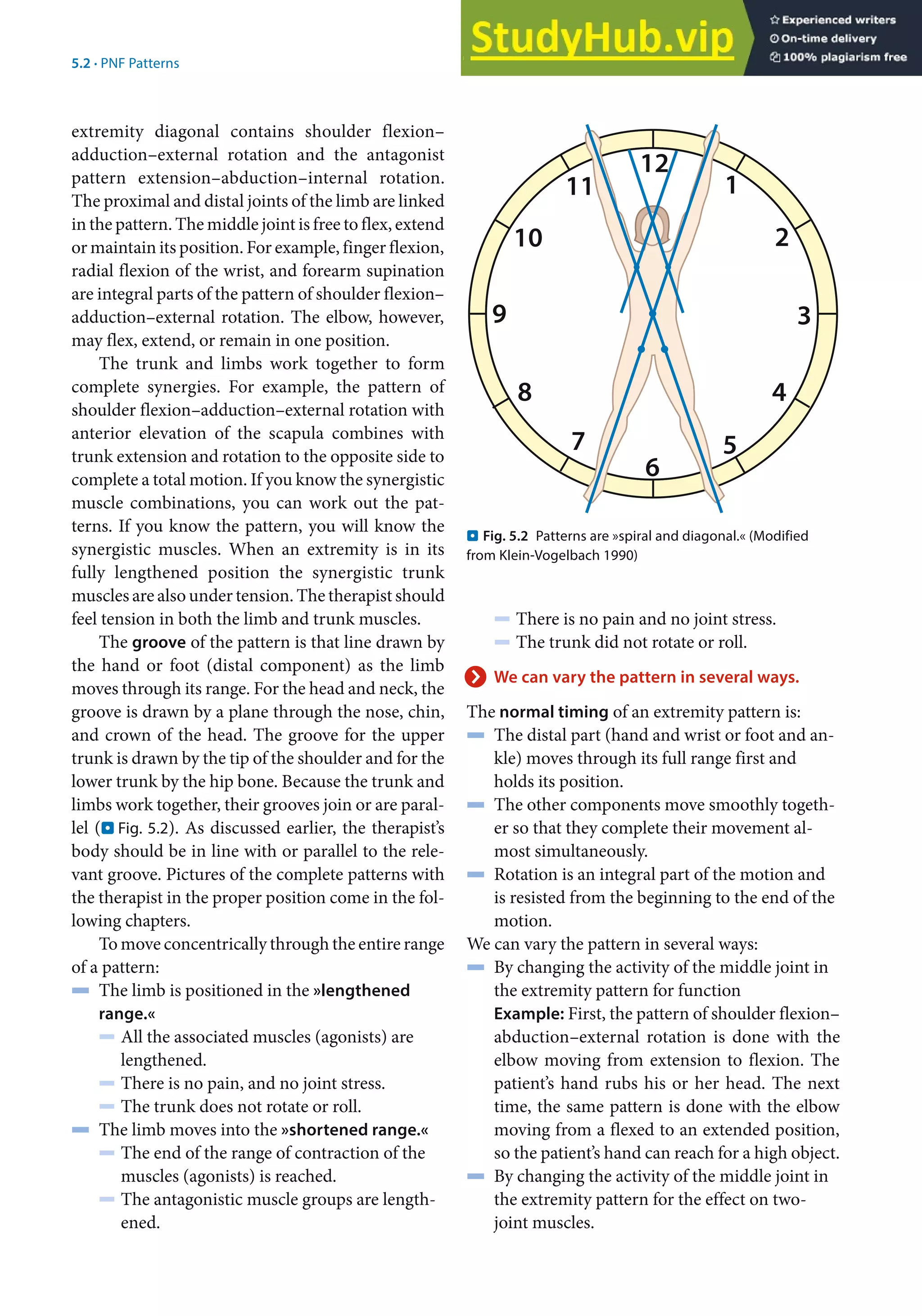 An Illustrated Guide PNF In Practice Fourth Edition | PDF