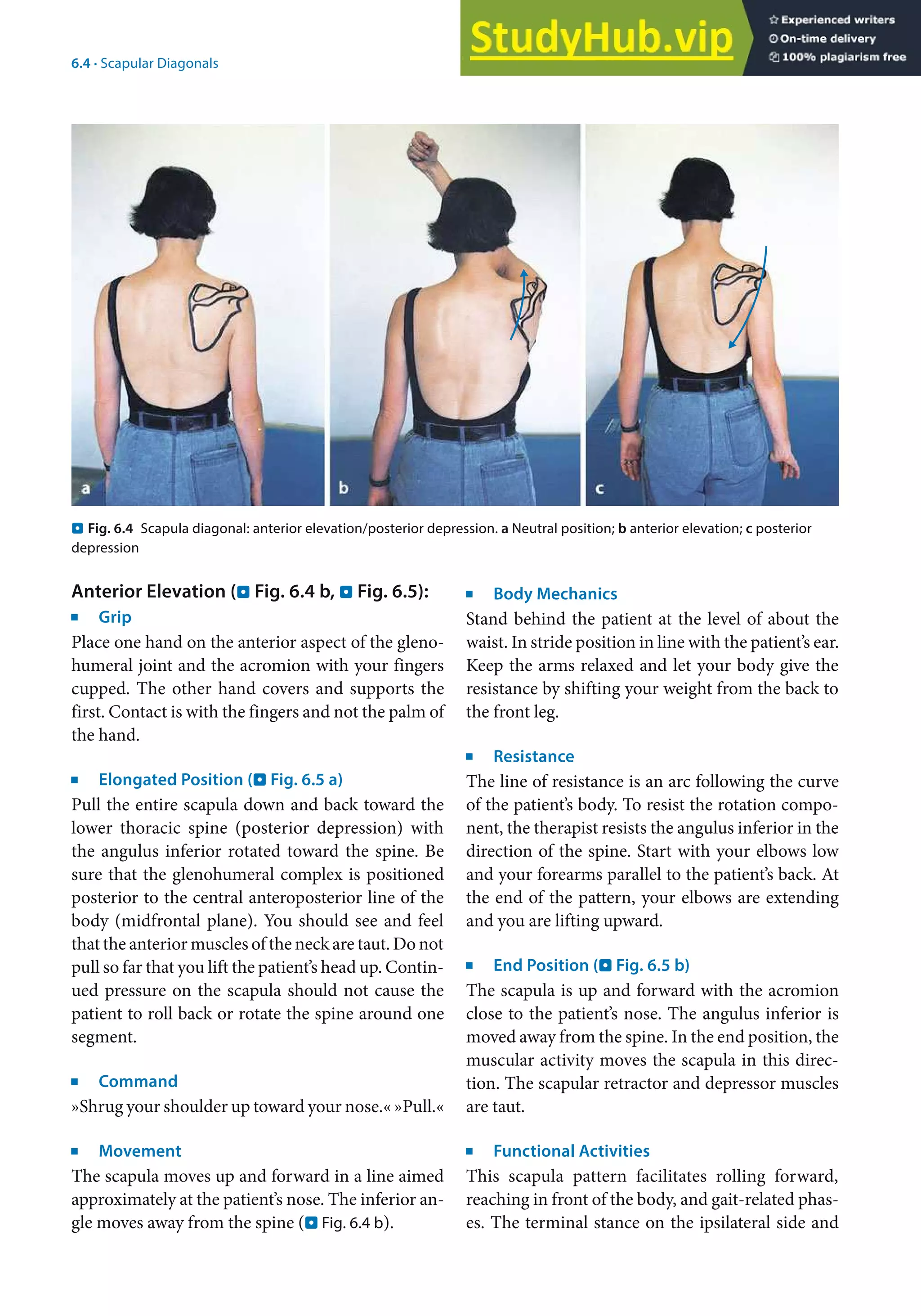 An Illustrated Guide PNF In Practice Fourth Edition | PDF