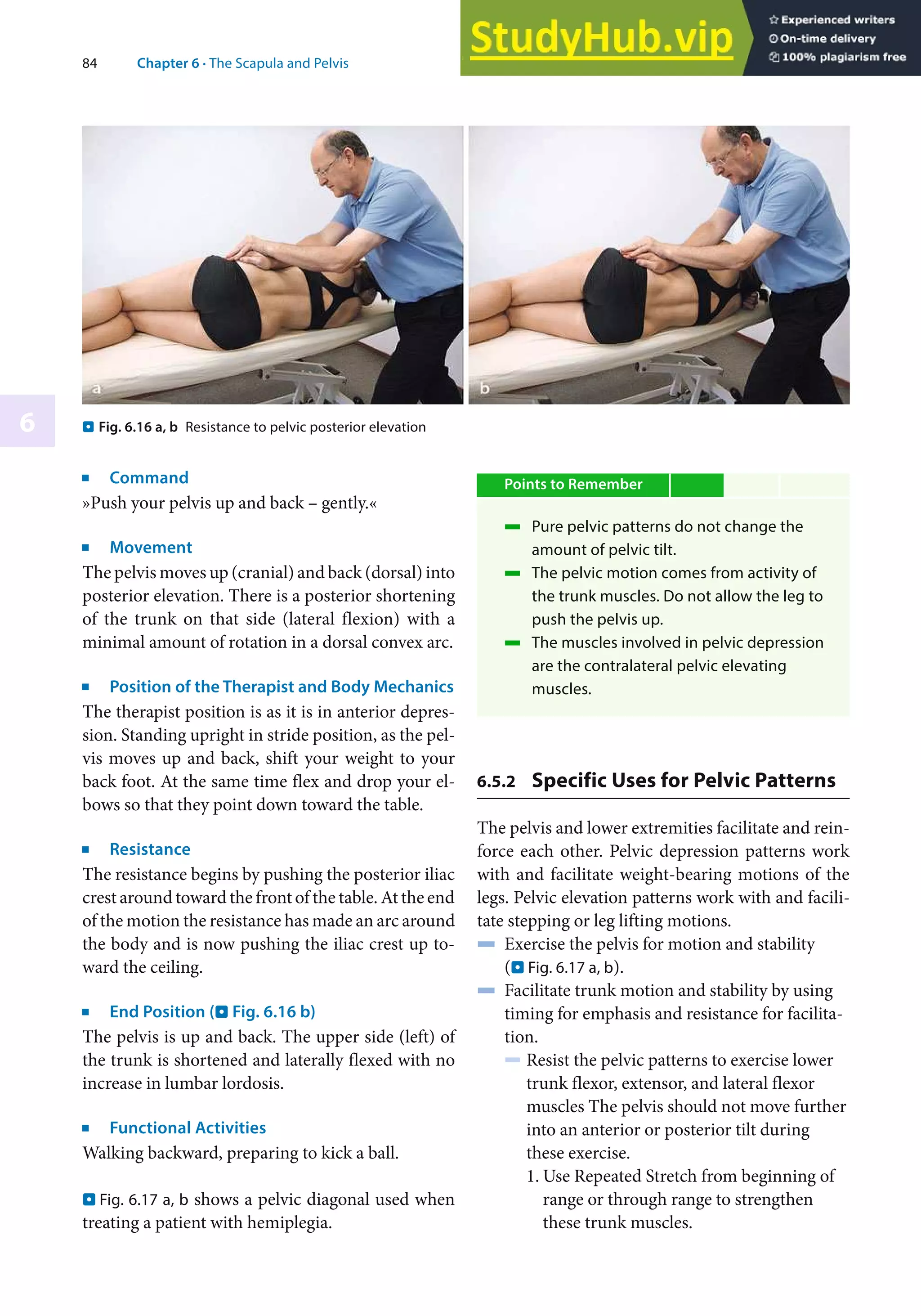 An Illustrated Guide PNF In Practice Fourth Edition | PDF