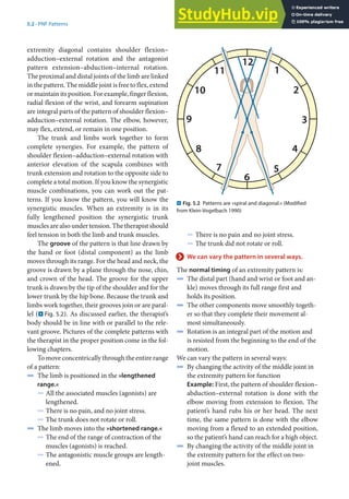 An Illustrated Guide PNF In Practice Fourth Edition | PDF