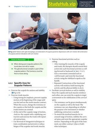 An Illustrated Guide PNF In Practice Fourth Edition | PDF