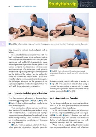 An Illustrated Guide PNF In Practice Fourth Edition | PDF