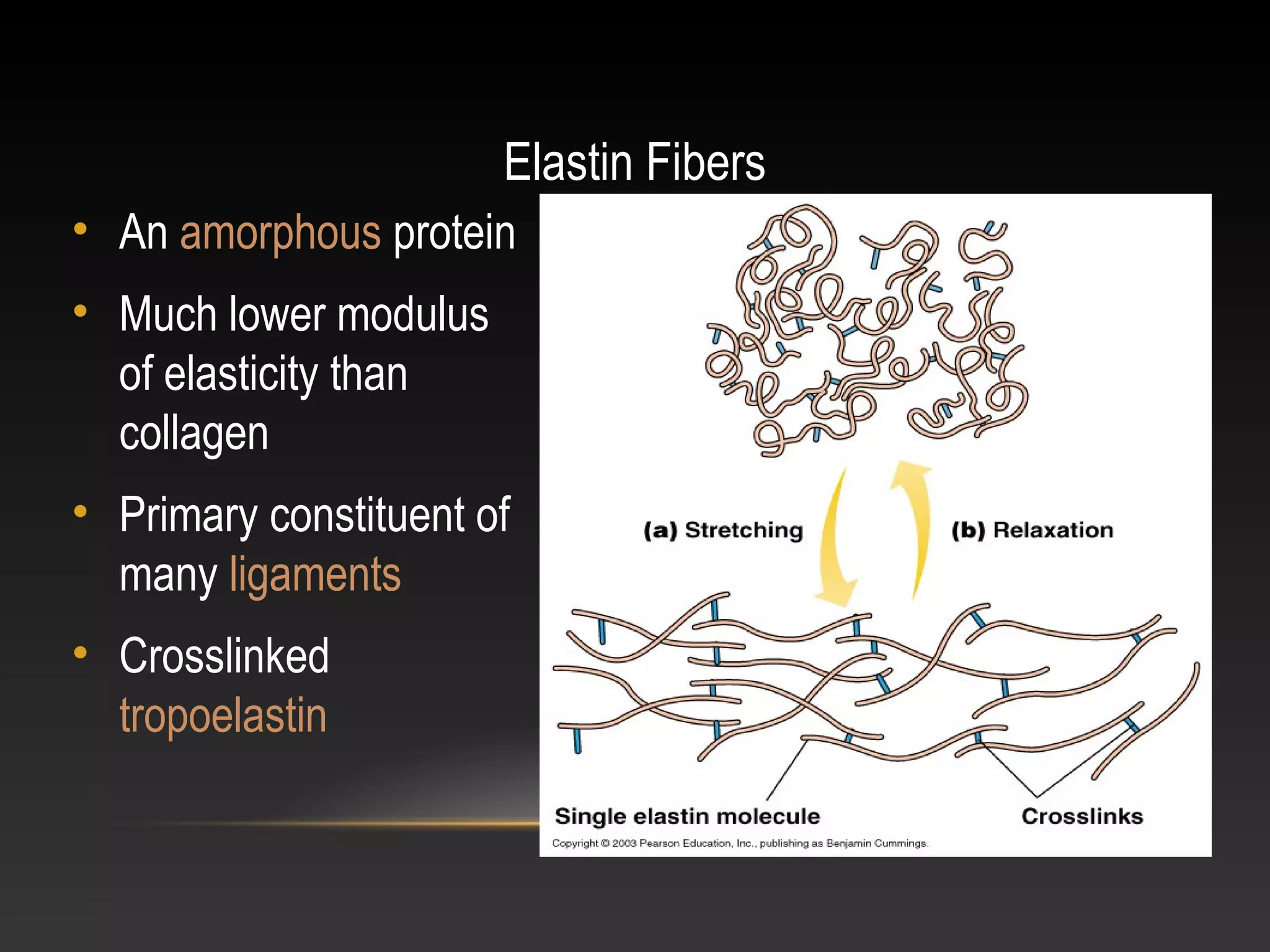 Anil ppt review nanofibers application | PPT