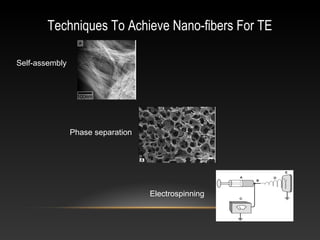 Anil ppt review nanofibers application | PPT
