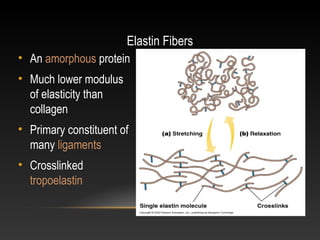 Anil ppt review nanofibers application | PPT