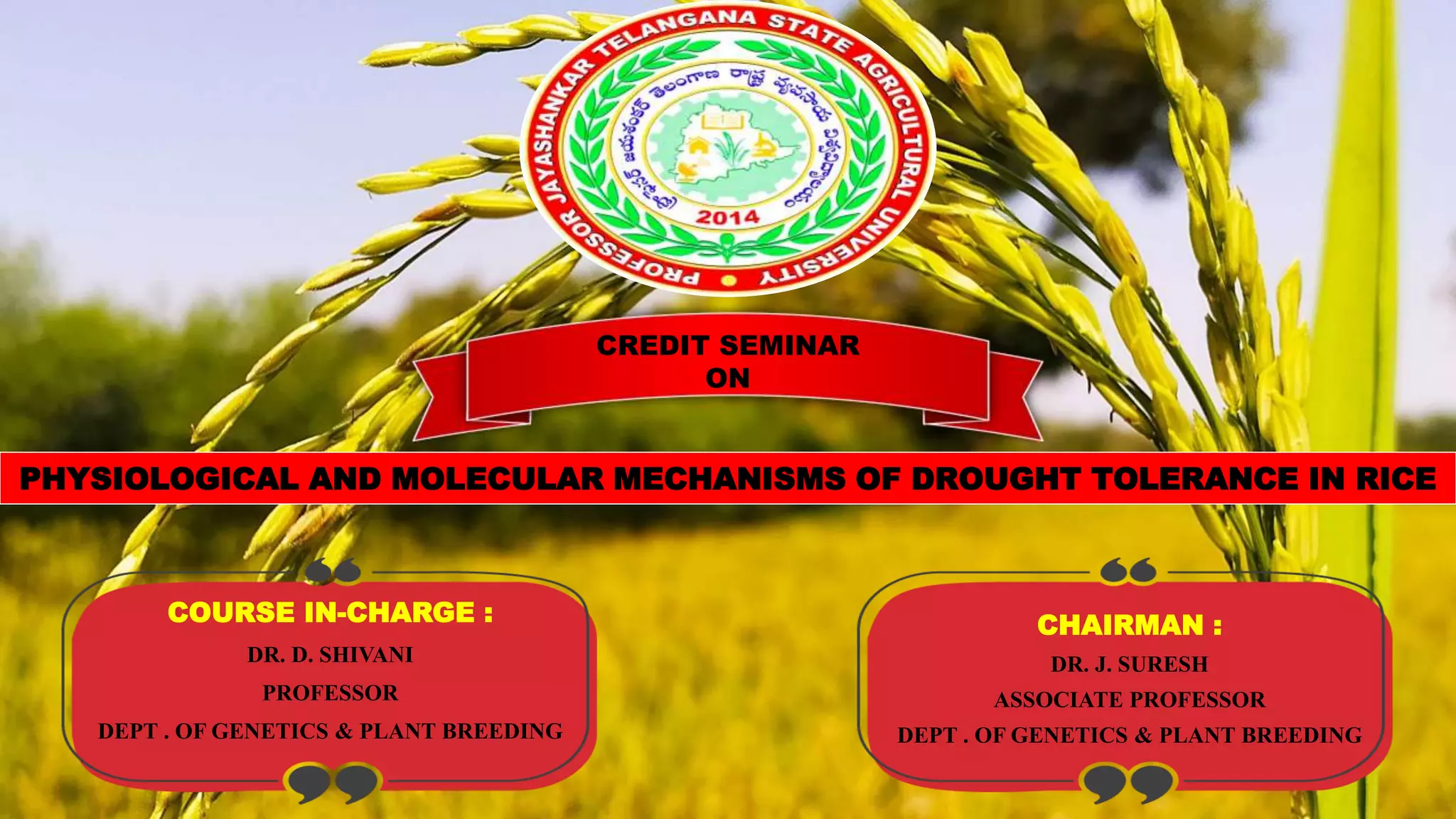Physiological and molecular basis of drought tolerance in rice | PPTX