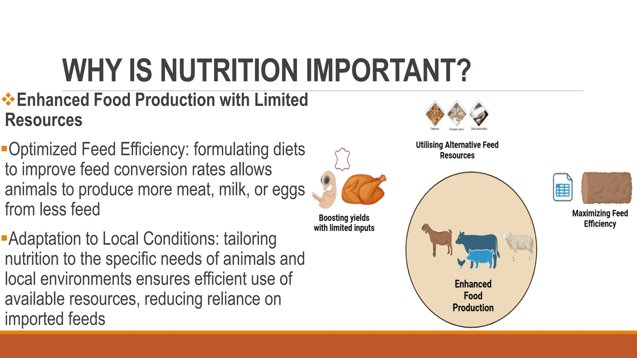 Principles of Animal Nutrition LECTURE_NOTE_I.pdf