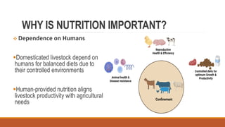 Principles of Animal Nutrition LECTURE_NOTE_I.pdf