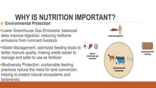 Principles of Animal Nutrition LECTURE_NOTE_I.pdf