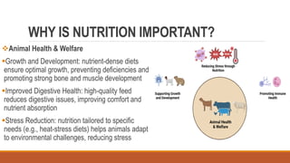 Principles of Animal Nutrition LECTURE_NOTE_I.pdf