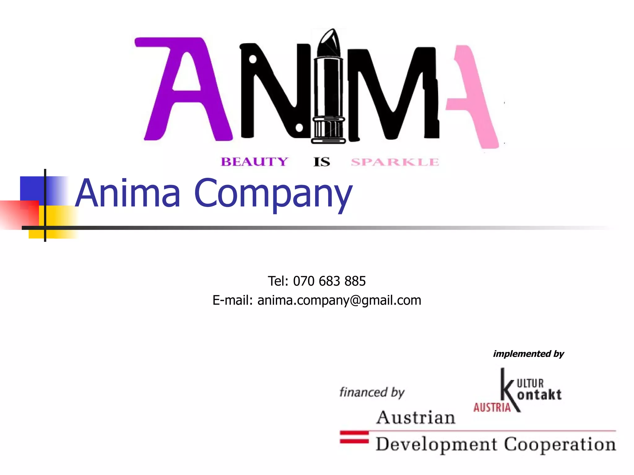 Anima Company2 | PPT | Email | Internet