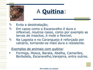 Animais Revestimento Do Corpo | PPT