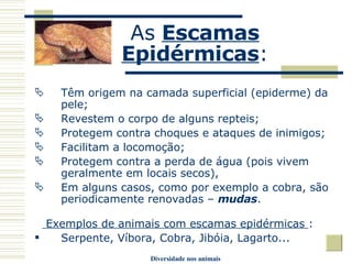 Animais Revestimento Do Corpo | PPT