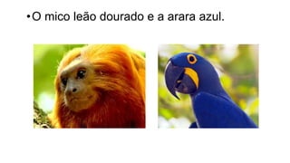 Animais extintos | PPTX