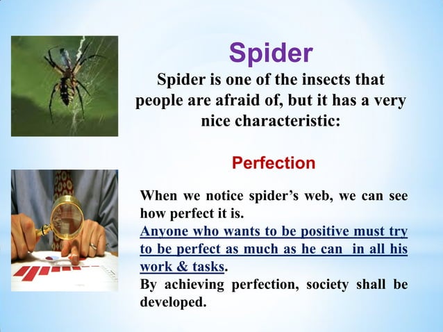 For Us To Think (What can we learn from Animals?) | PPT