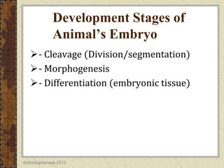 Animal structure | PPTX