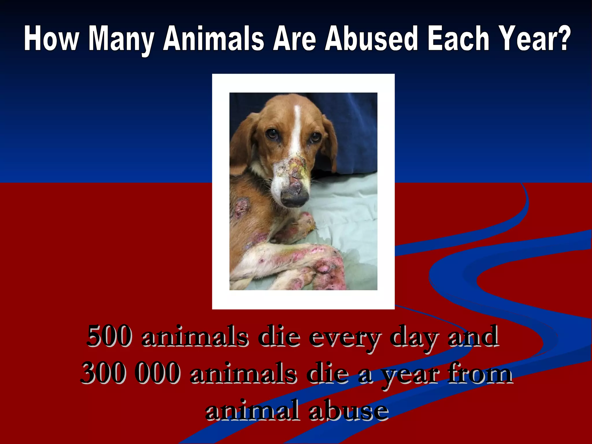 Animal Abuse | PPS