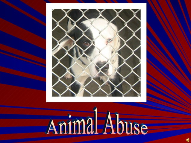 Animal Abuse | PPT