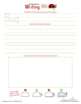 animal-activities-workbook.pdf reading materials | PDF
