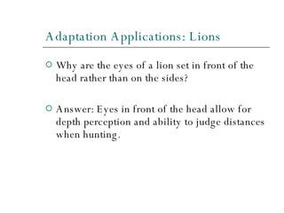 Animal Adaptations | PPT