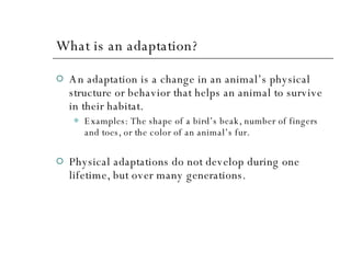 Animal Adaptations | PPT