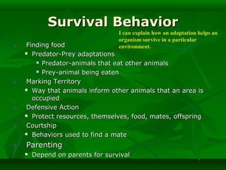 BEHAVIOURS FOR SURVIVAL | PPT