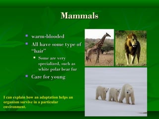 BEHAVIOURS FOR SURVIVAL | PPT