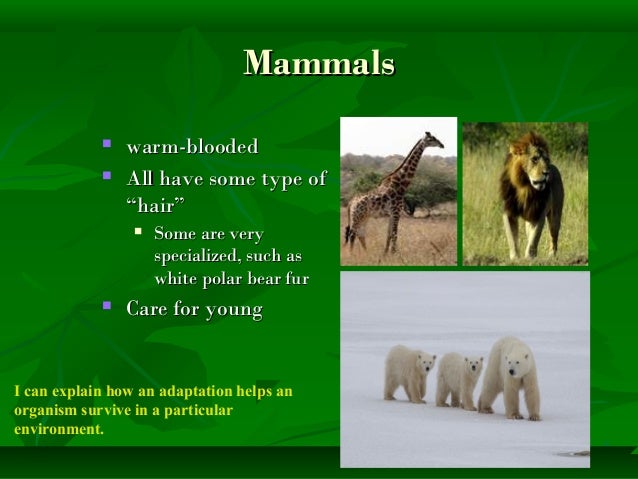 BEHAVIOURS FOR SURVIVAL