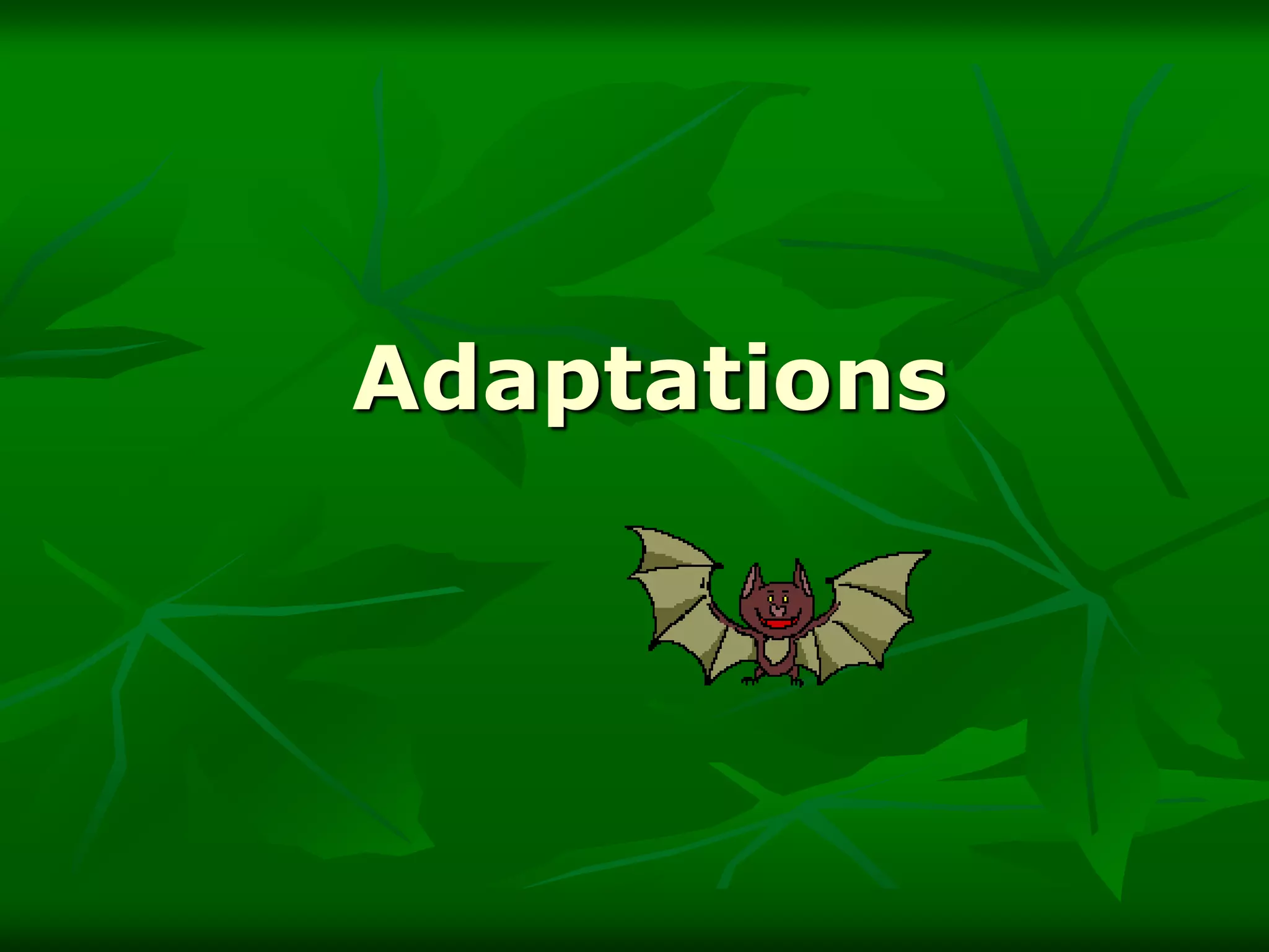 animal-adaptations-2.ppt