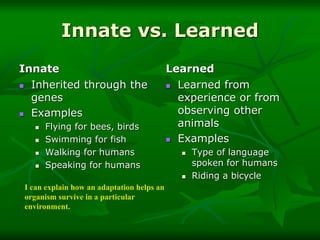 animal-adaptations-2.ppt