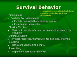 animal-adaptations-2.ppt