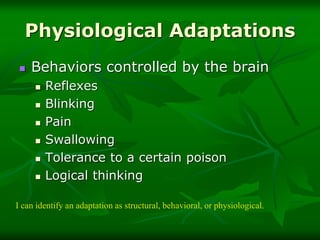 animal-adaptations-2.ppt