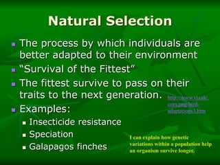 animal-adaptations-2.ppt