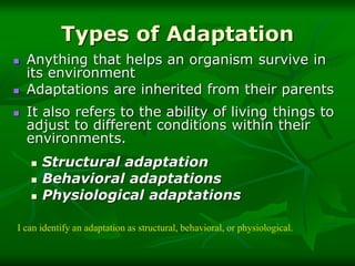 animal-adaptations-2.ppt