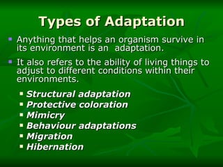 Animal Adaptations | PPT