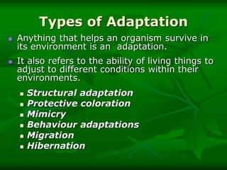 Animal Adaptations II animal adaptation.pptx