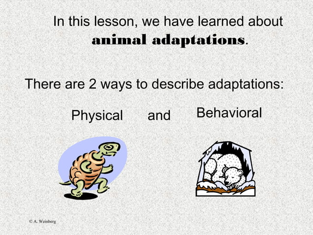 Animal Adaptations | PPT | Biological Sciences | Science