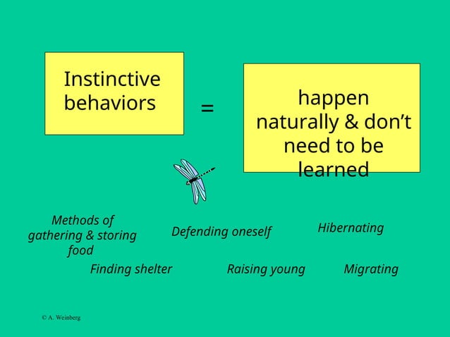 animal-adaptations-ppt-100520152446-phpapp02.ppt